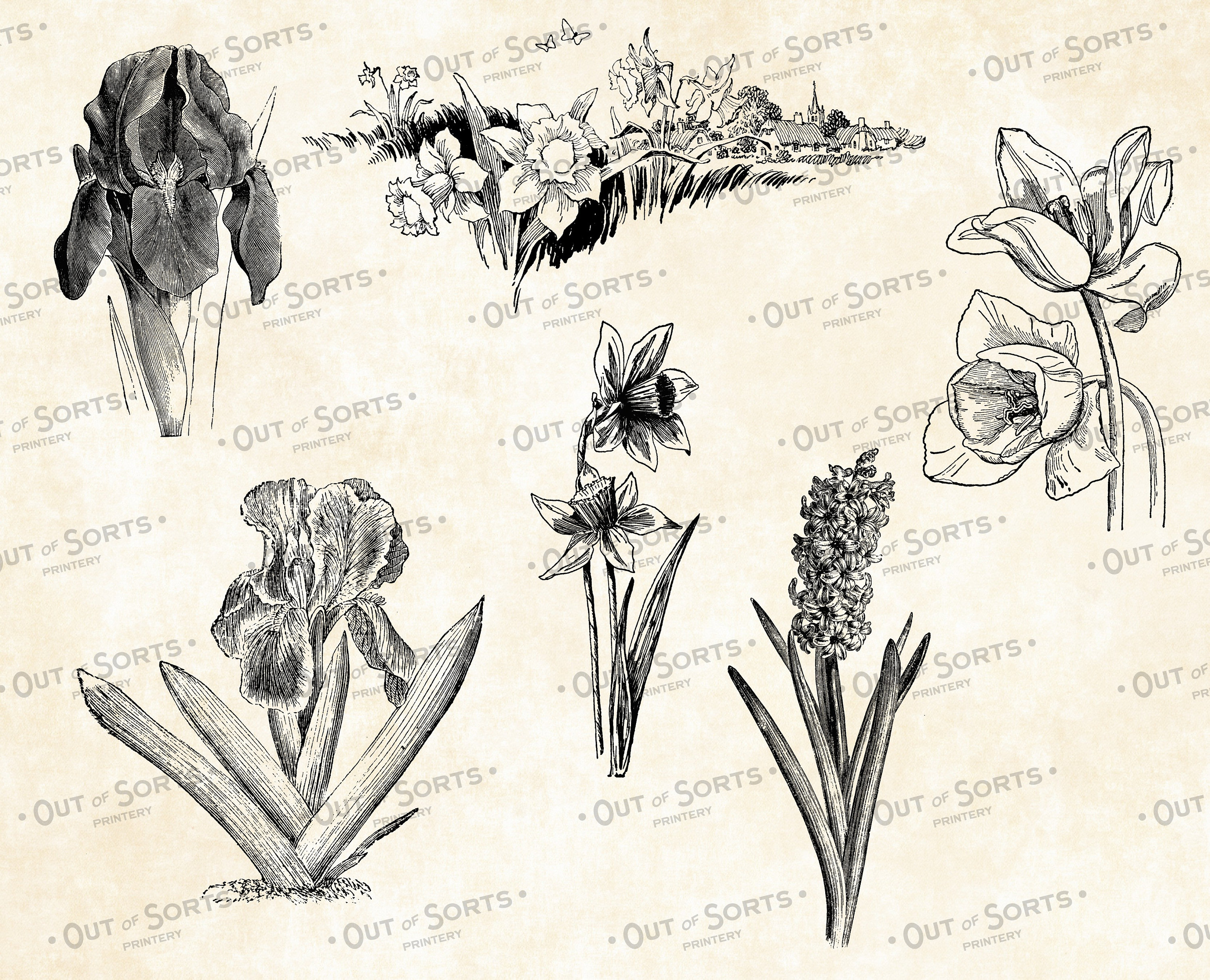 Spring Flowers, Antique Botanical Clipart, Vintage Floral, Easter ...