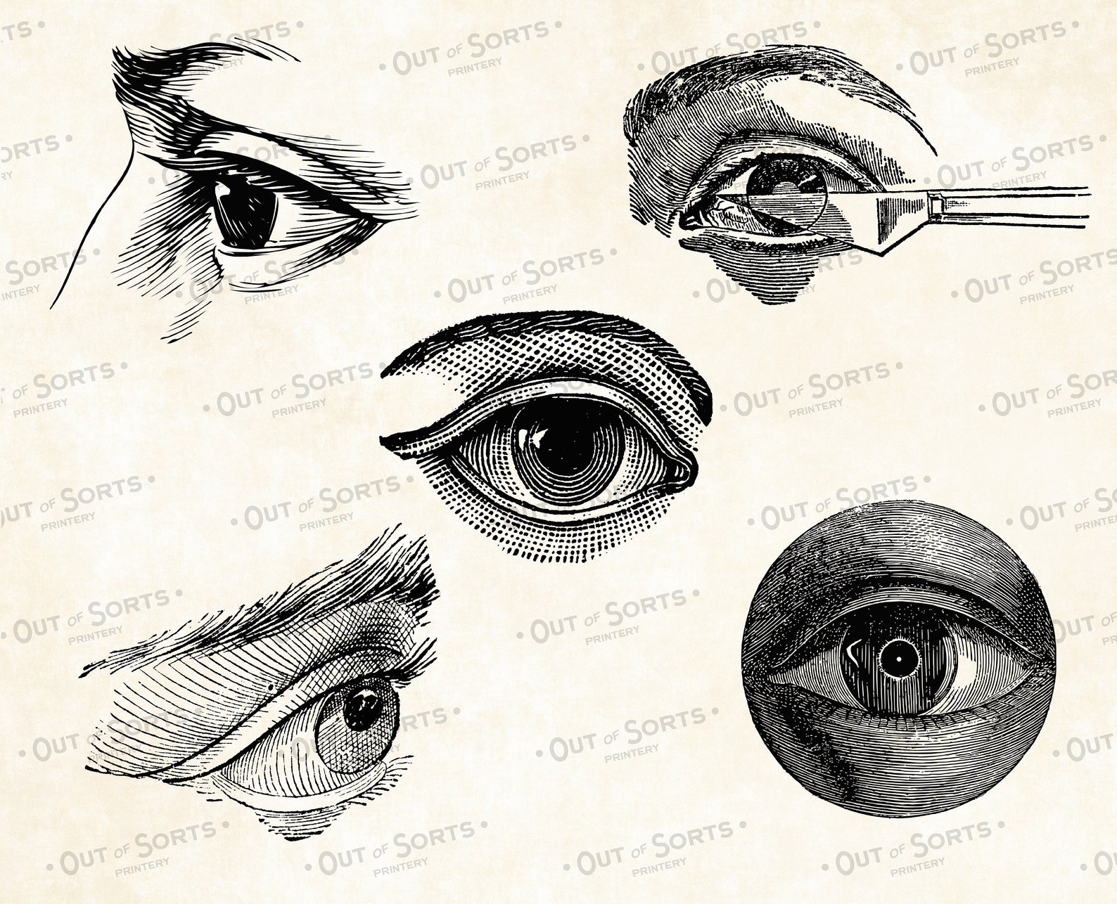 Vintage Eyes Clipart, Antique Glasses, PNG Overlays, Victorian Anatomy ...