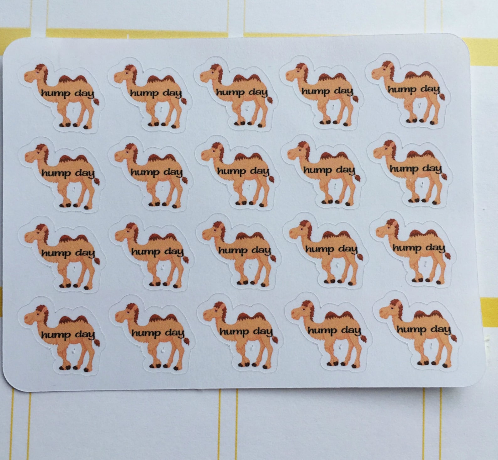 Camel Hump Day Planner Stickers, 20 or 64 Count - Stickers for Planners ...