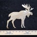 Moose Cutout Made From 18 Gauge Raw Steel Perfect for Craft and DIY ...