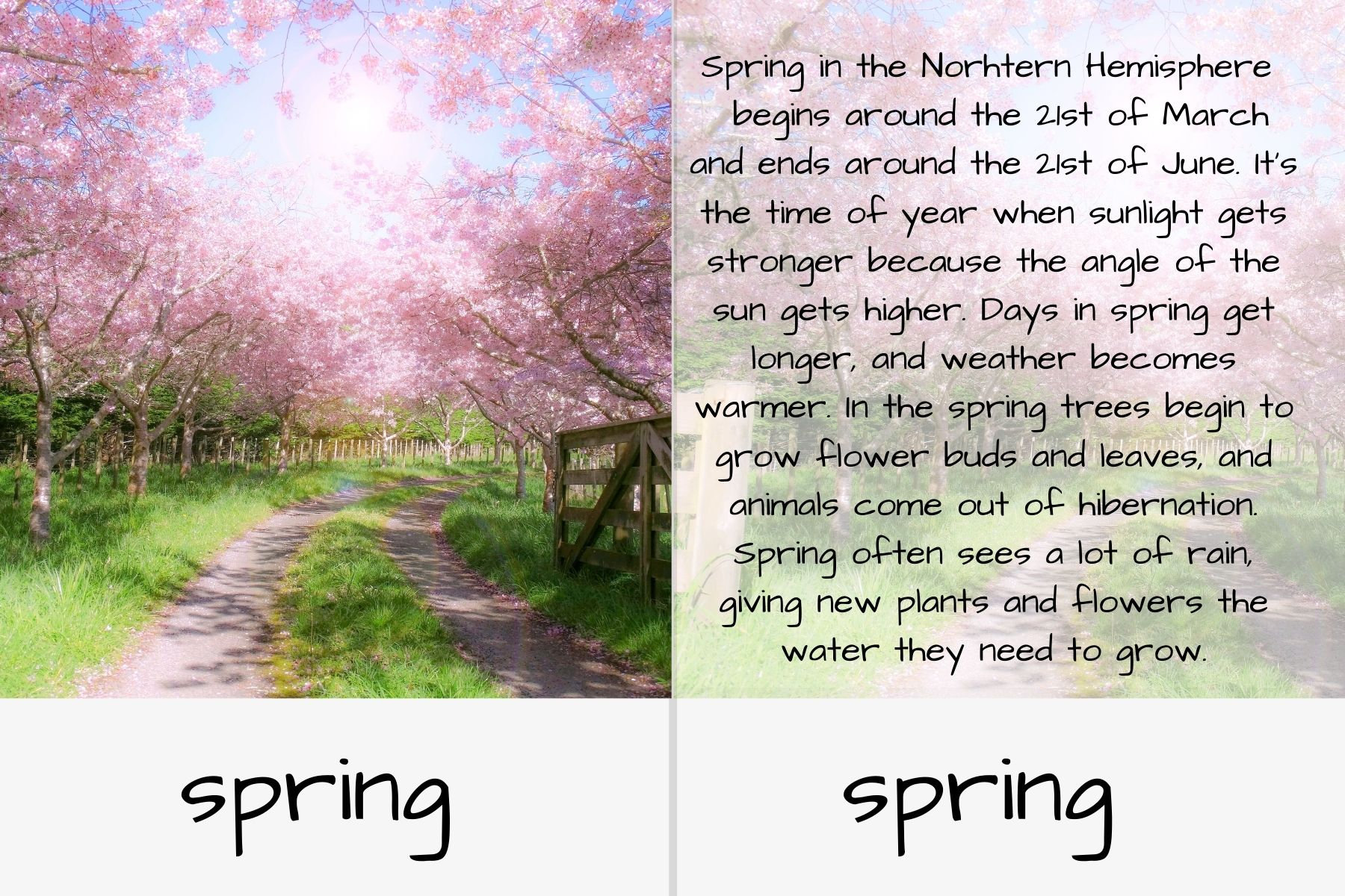 Spring Equinox Seasons Spring Science | Etsy