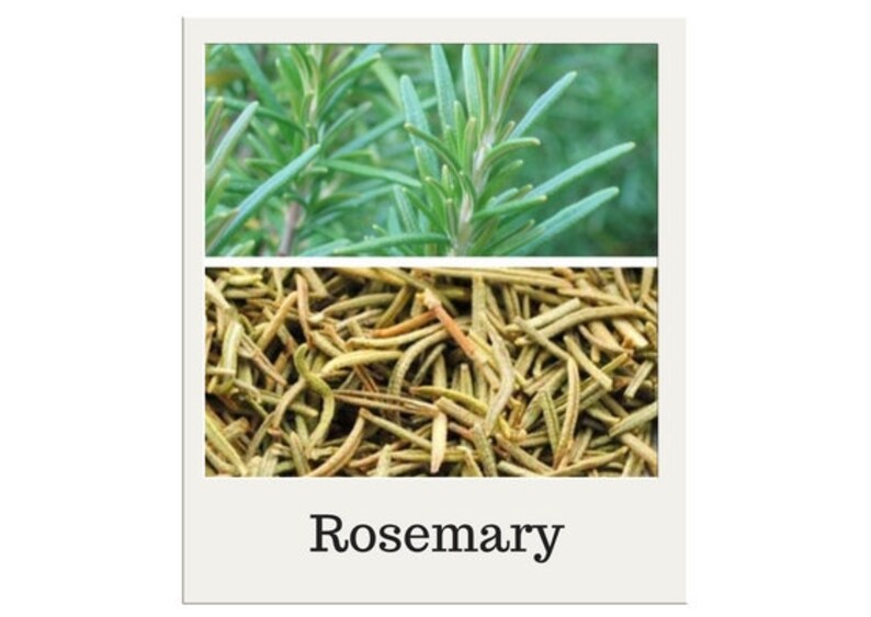 Herb ID Card DOWNLOAD Mortar and Pestle - Etsy