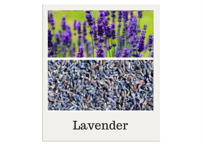 Herb ID Card DOWNLOAD Mortar and Pestle - Etsy