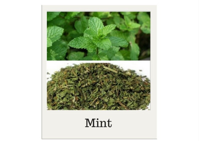 Herb ID Card DOWNLOAD Mortar and Pestle - Etsy