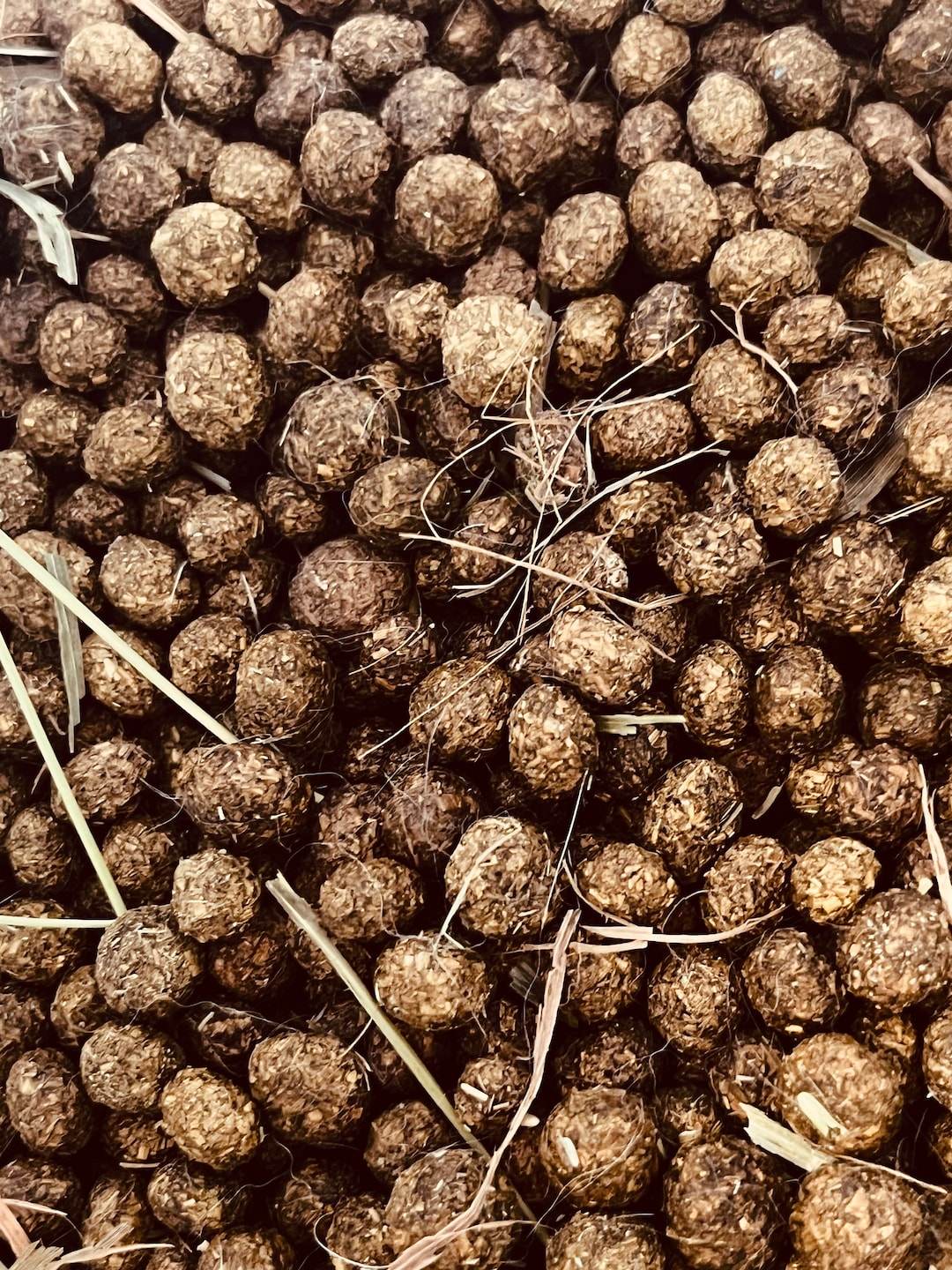 16 POUNDS of Rabbit Poop Organic Fertilizer Dried All - Etsy