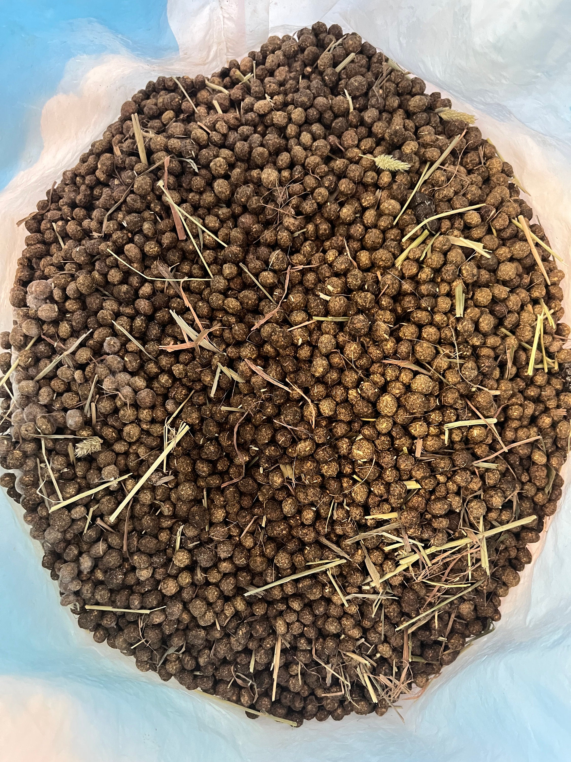 Rabbit Poop Organic Fertilizer Plant Food Gardening Bunny Berries Bunny ...