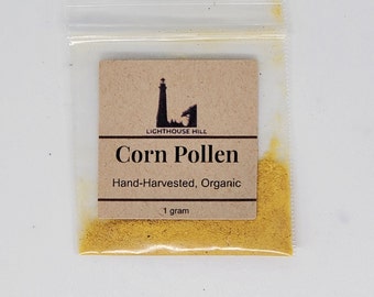 Navajo Corn Pollen Pouch - Etsy