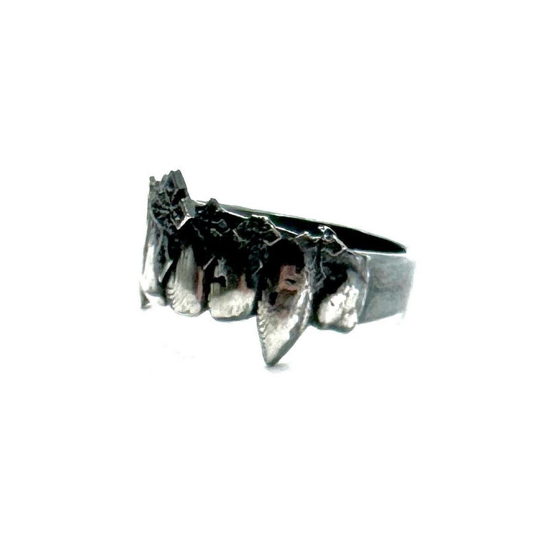 Vampire Fang Ring in Sterling Silver Vampire Werewolf Halloween Witch ...