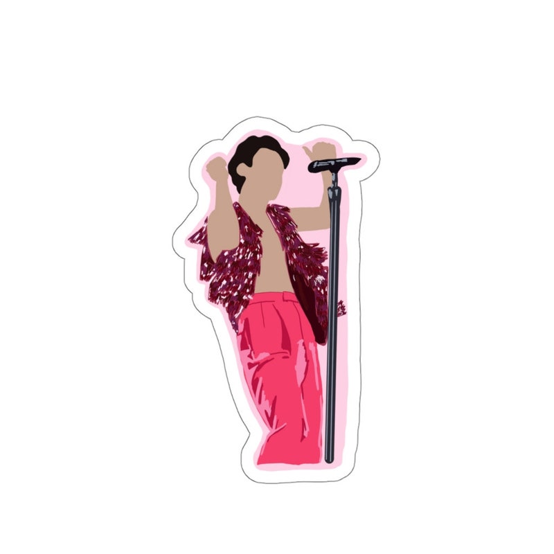 Harry styles stickers - Etsy España