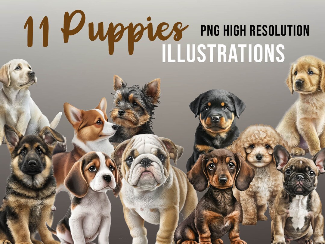 SALE Dog Breeds Puppy Clipart Bundle: "puppies Clipart" - Dog Lover ...