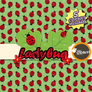Ladybug Digital Paper + Clipart : "ladybug Digital Paper" - Ladybug ...