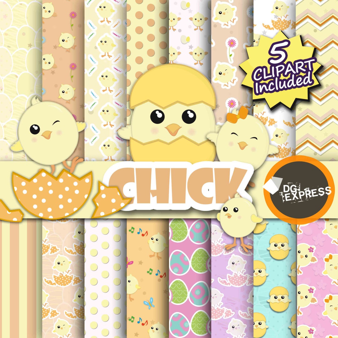 Chick Clipart + Digital Paper : "baby Chicken Digital Paper" -easter ...