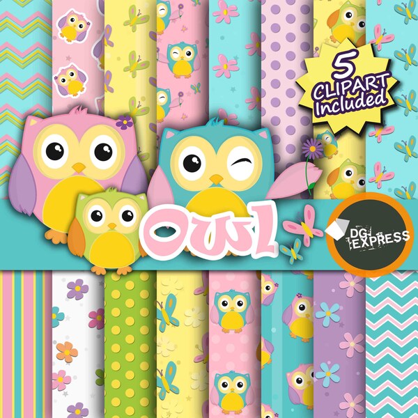 Spring Owl - Etsy