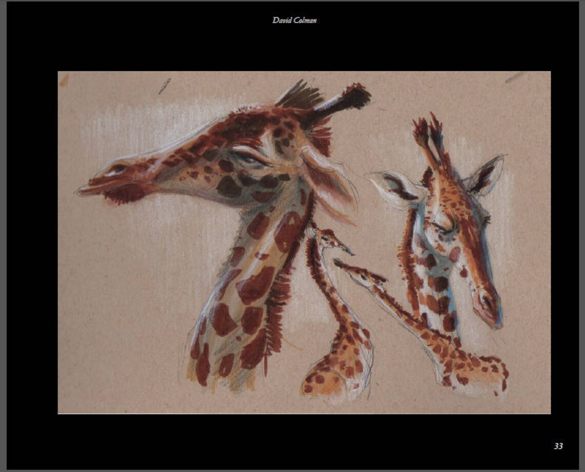 Art Book - the Art of Animal Character Design 2nd Edition - David ...