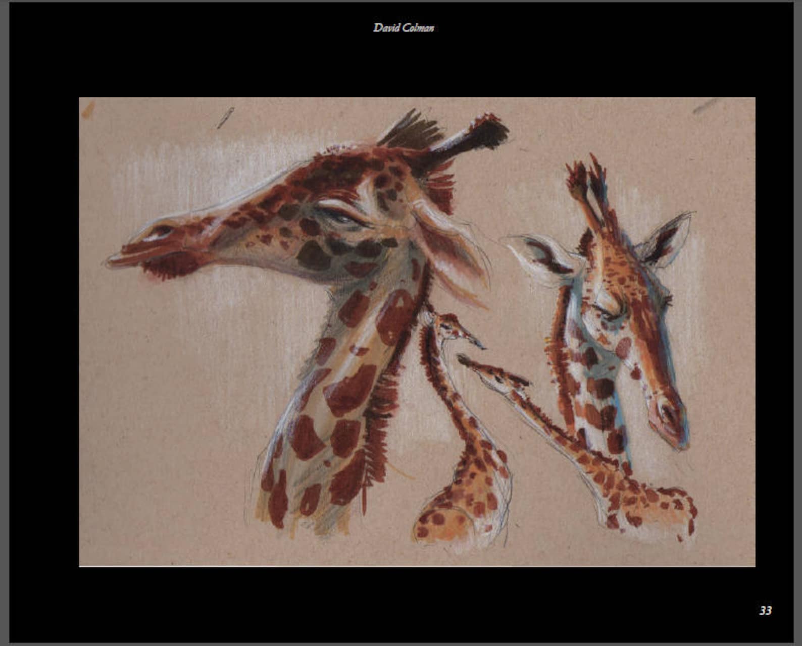 Art Book - the Art of Animal Character Design 2nd Edition - David ...