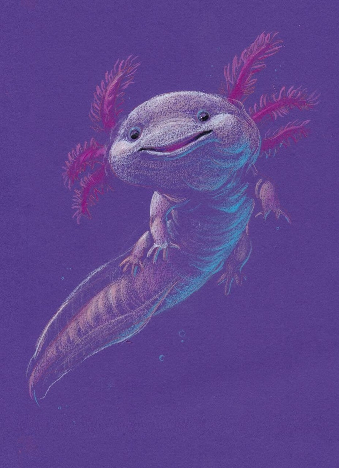 AXOLOTL Wall Art - Animal Art Print - David Colman Original ...