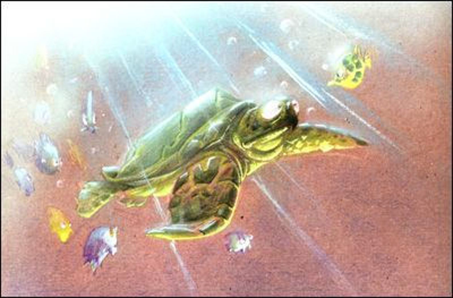 Art Book - the Art of Animal Character Design 2nd Edition - David ...