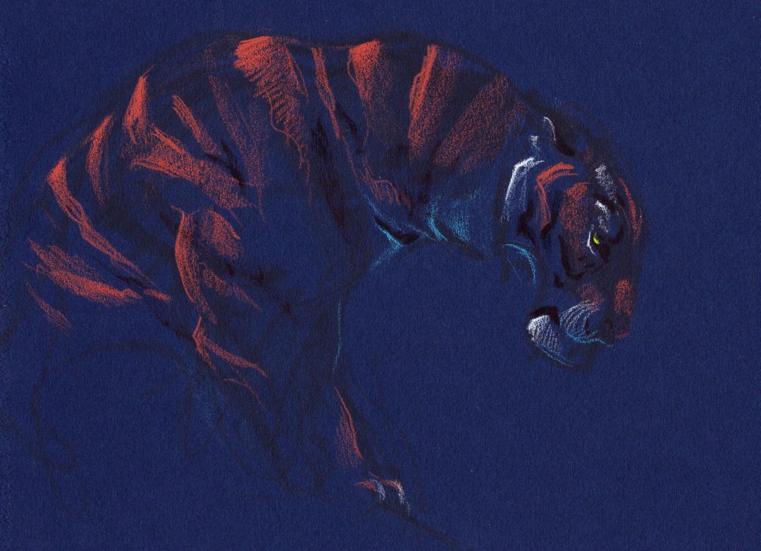 TIGER CROUCH Wall Art - Animal Art Print - David Colman Original ...
