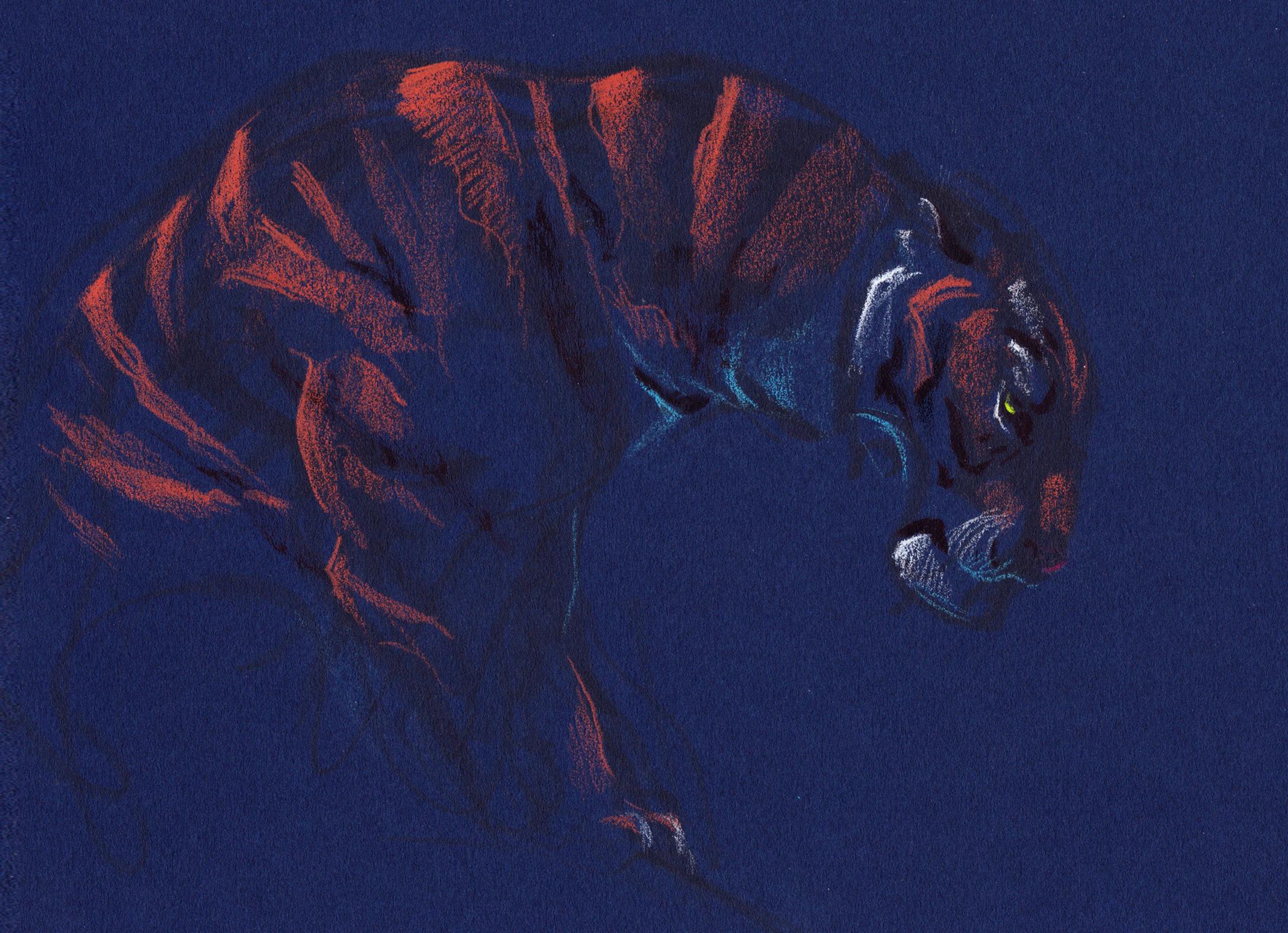 TIGER CROUCH Wall Art - Animal Art Print - David Colman Original ...