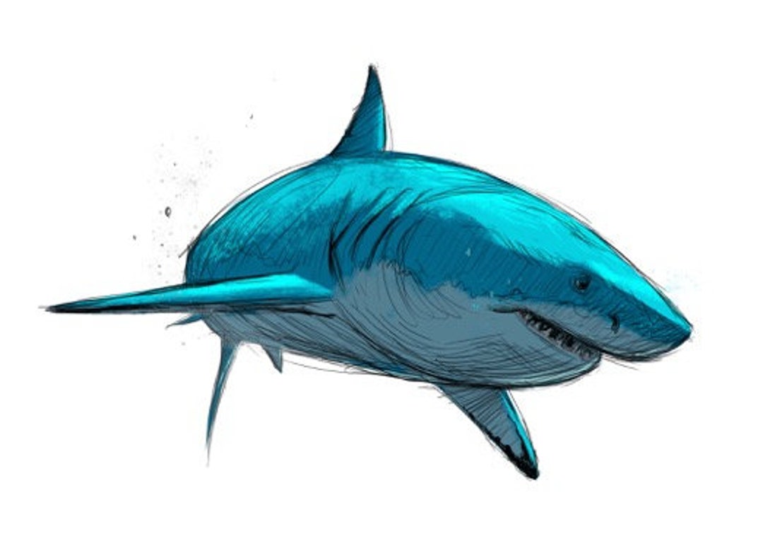 GREAT WHITE SHARK Wall Art - Animal Art Print - David Colman Original ...