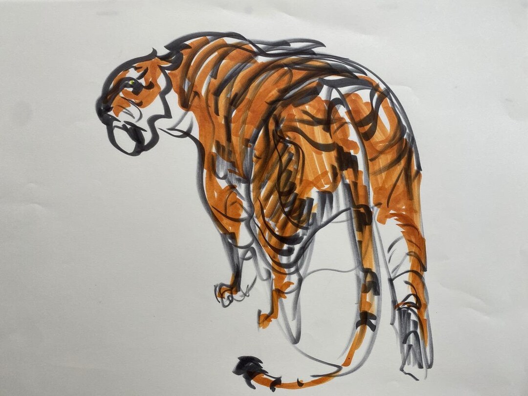 TIGER Art Original Artwork David Colman Illustration - Etsy
