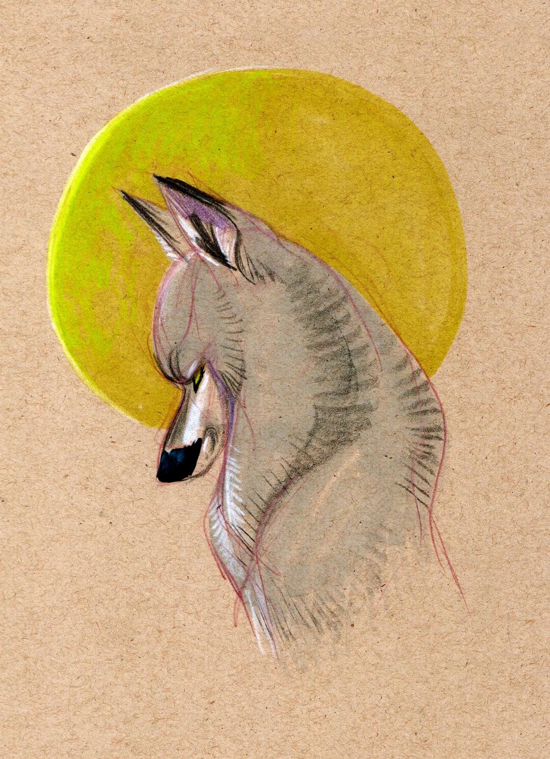 WOLF Wall Art - Animal Art Print - David Colman Original Illustration ...