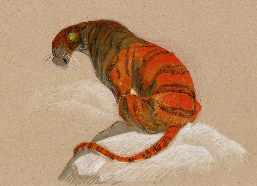 TIGER Wall Art - Animal Art Print - David Colman Original Illustration ...