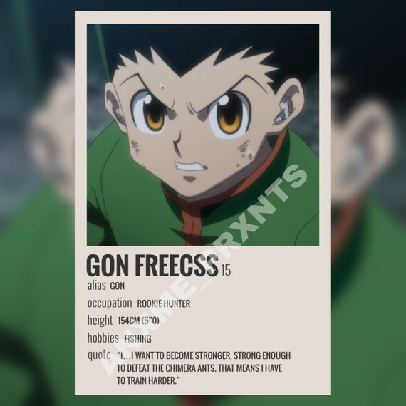 Hunter X Hunter: Gon Freecss Anime Character Profile | Etsy
