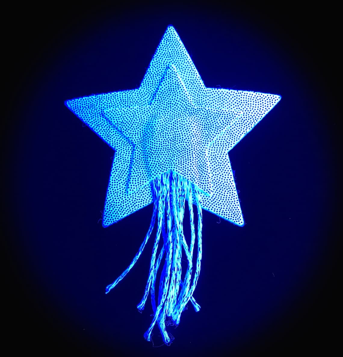 Pasties Star: Tassel Pasties Silver Glitter Star Pastease - Etsy