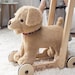 Personalised Dexter Dog Baby Walker | Plush Push Along Toys - Etsy