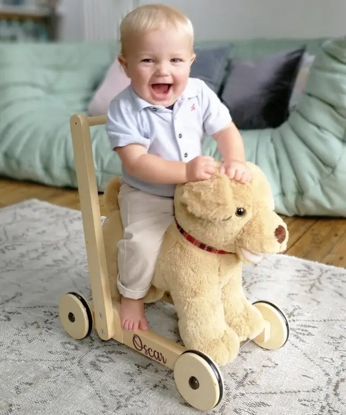 Personalised Dexter Dog Baby Walker | Plush Push Along Toys - Etsy