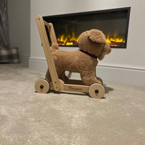 Personalised Dexter Dog Baby Walker | Plush Push Along Toys - Etsy