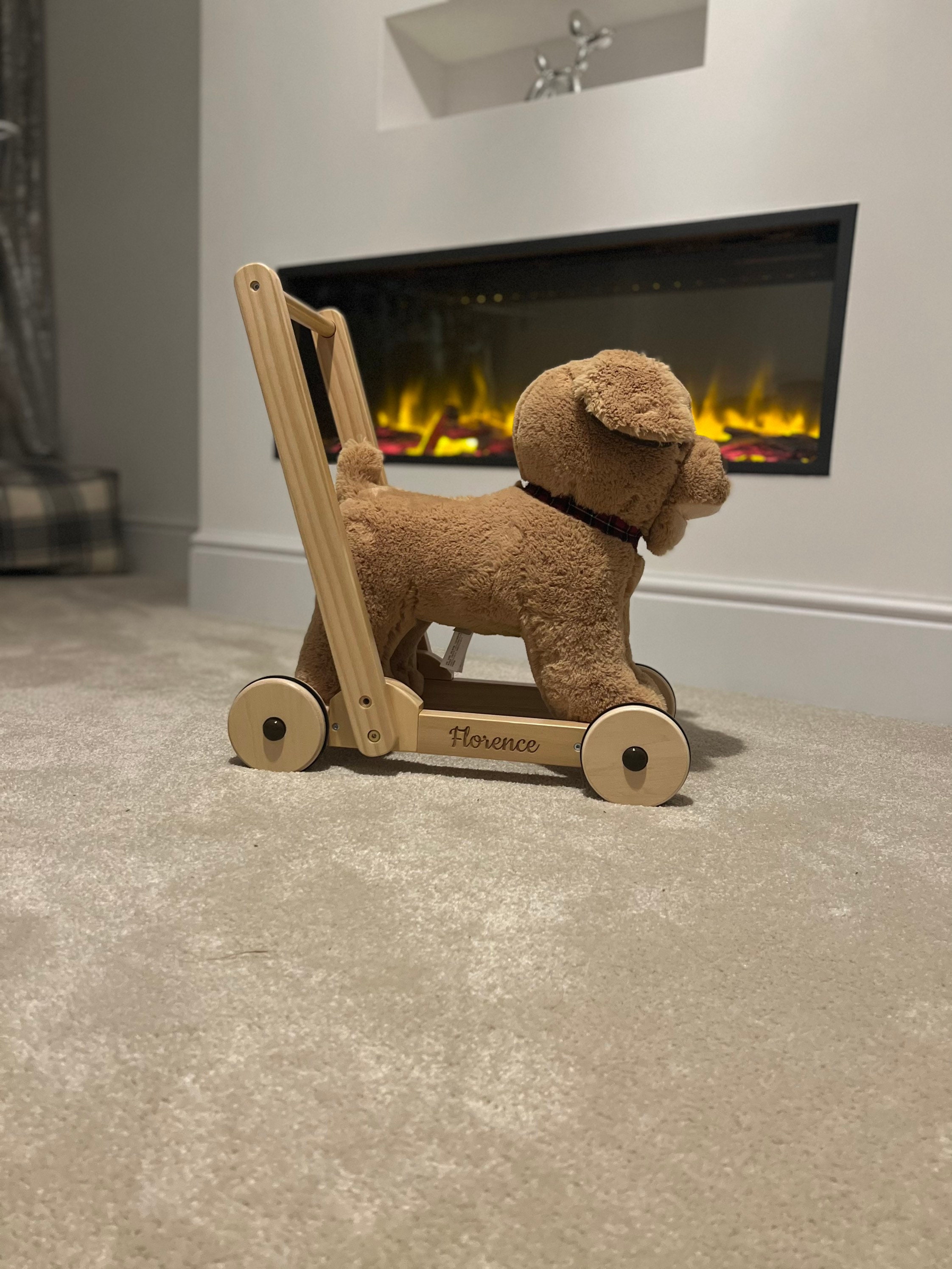 Personalised Dexter Dog Baby Walker | Plush Push Along Toys - Etsy