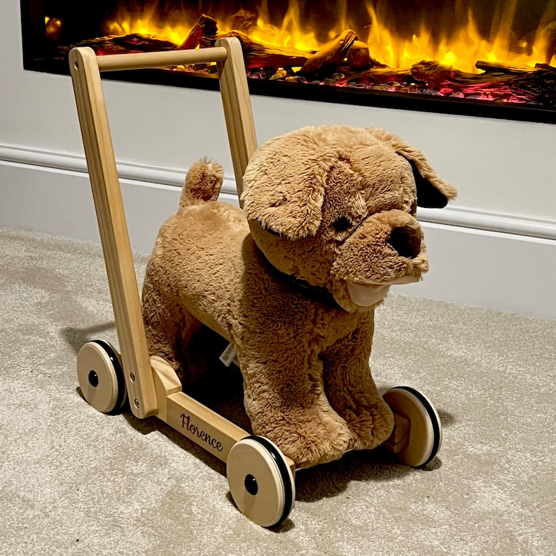 Personalised Dexter Dog Baby Walker | Plush Push Along Toys - Etsy