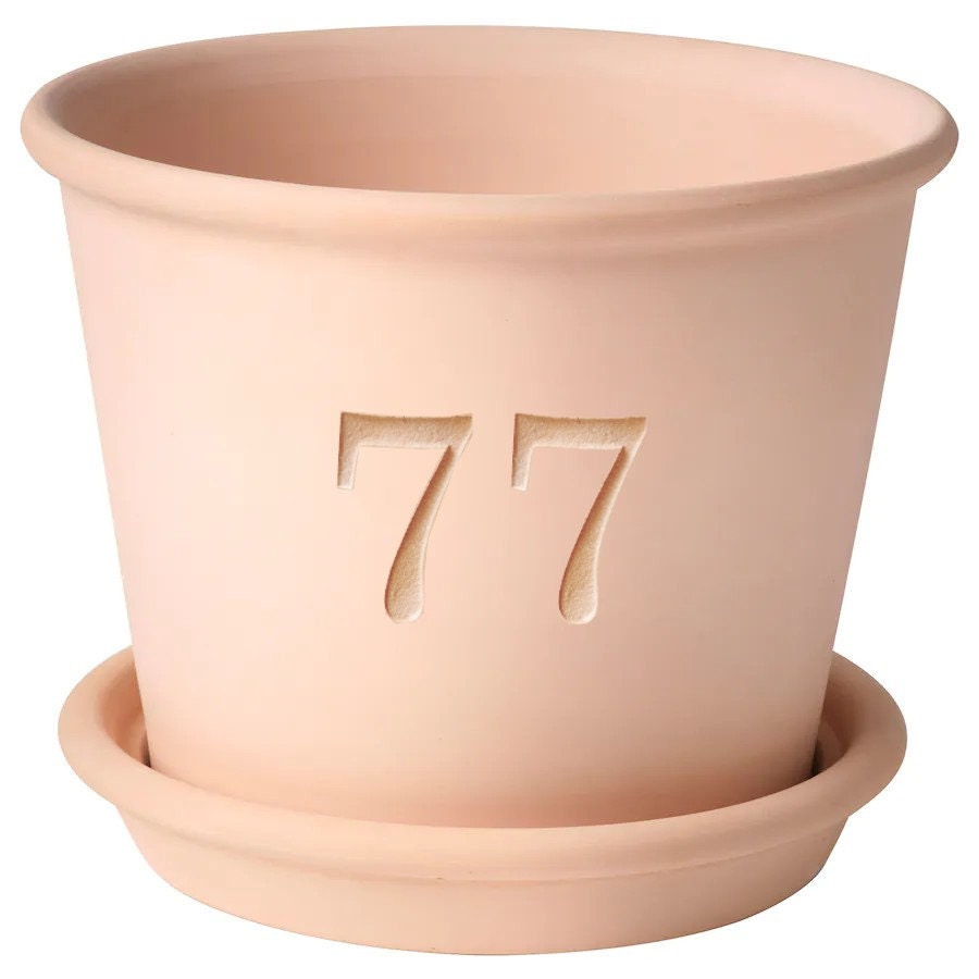 Personalised Birthday Flower Pot | Etsy UK