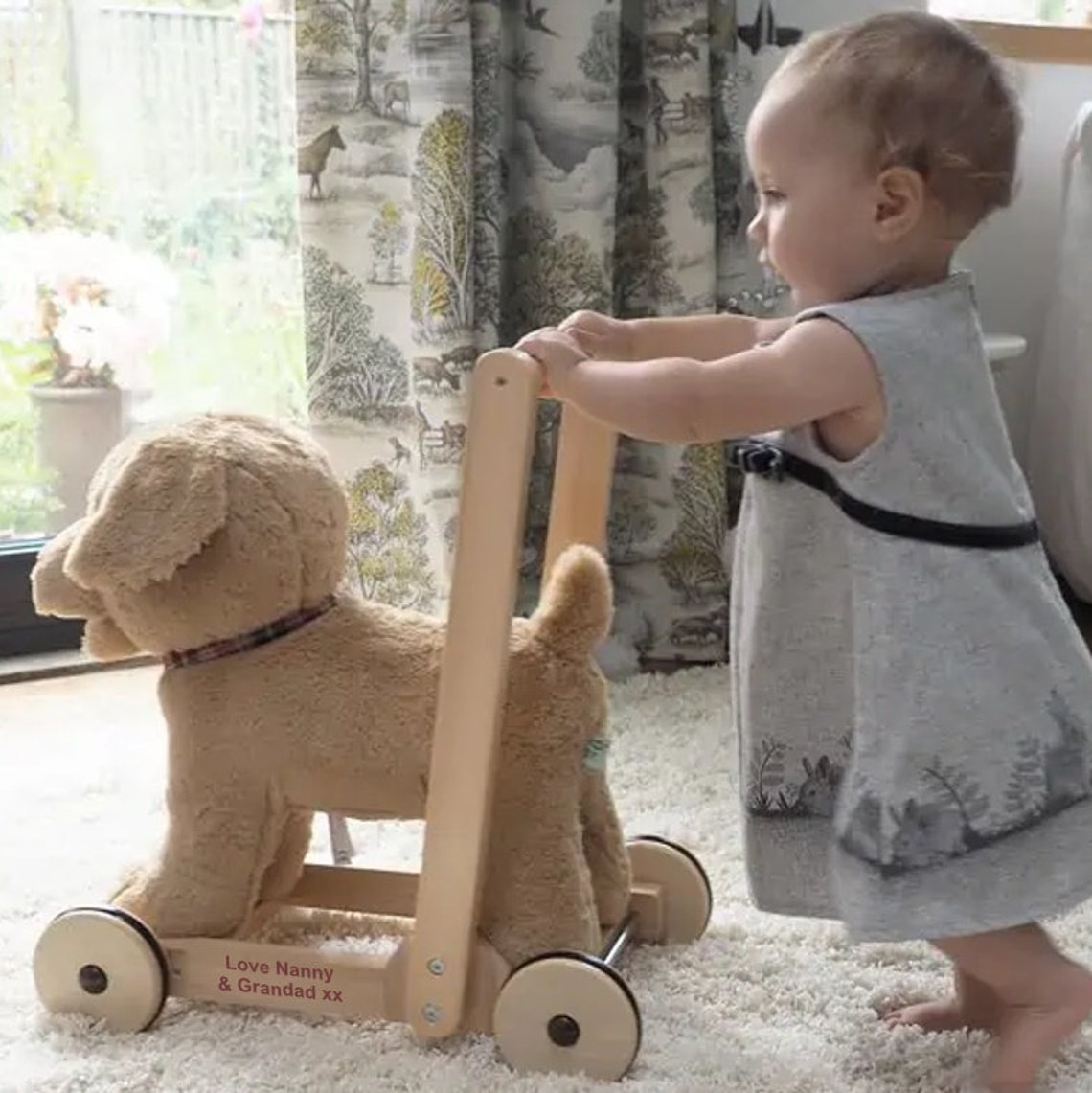 Personalised Dexter Dog Baby Walker | Plush Push Along Toys - Etsy