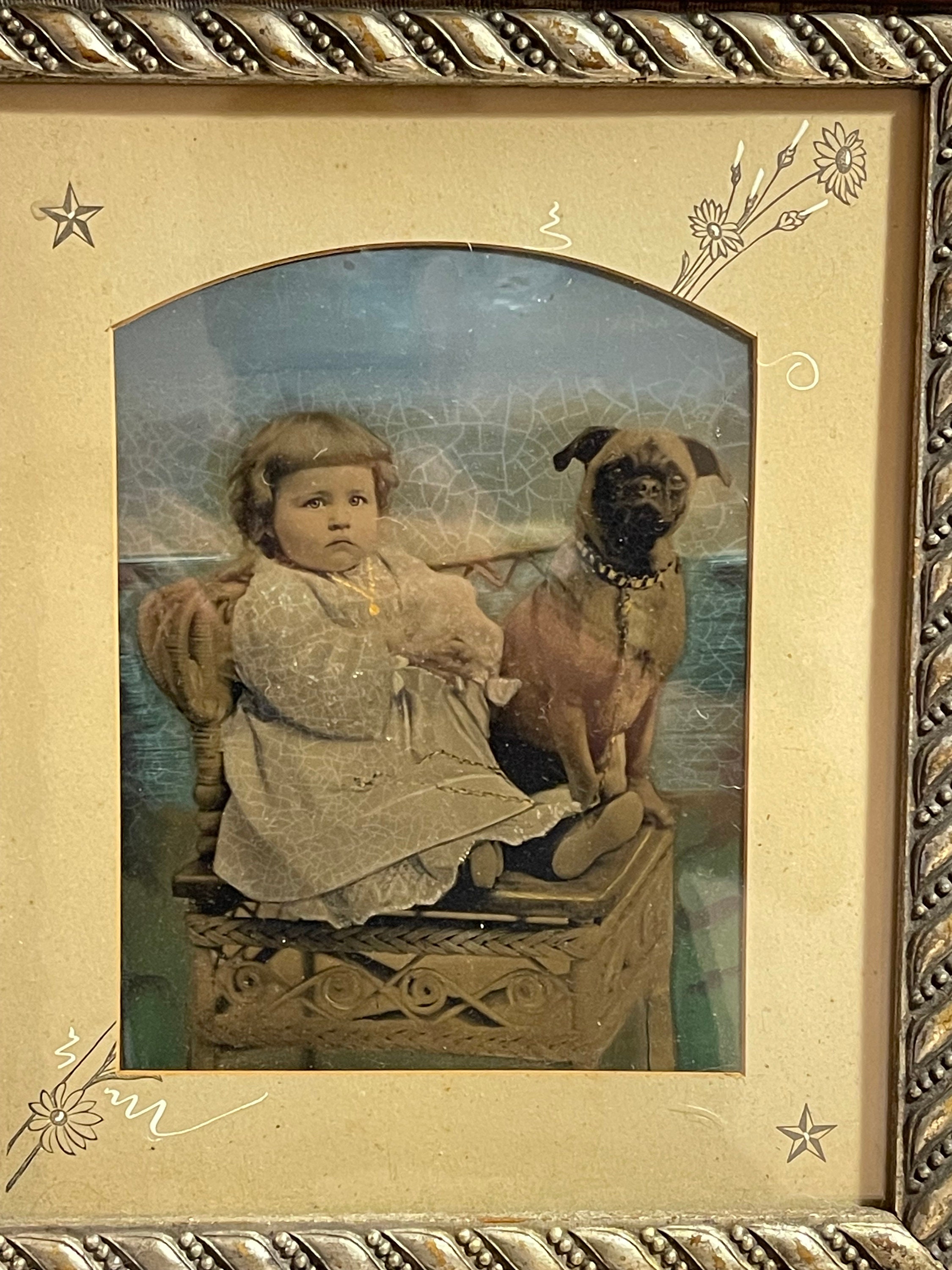 Large Antique Hand Tinted Photograph Portrait Little Girl & Dog W ...