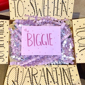 2 Dozen Cookies Care Package | Quarantine Care Package | Gift for ...