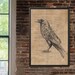 Mechanical Raven Blueprint Art – Steampunk Bird Anatomy Print ...