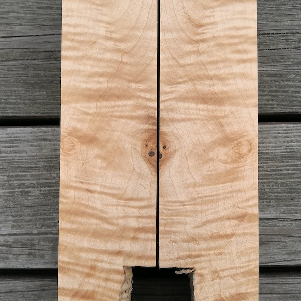 Fiddleback Maple - Etsy