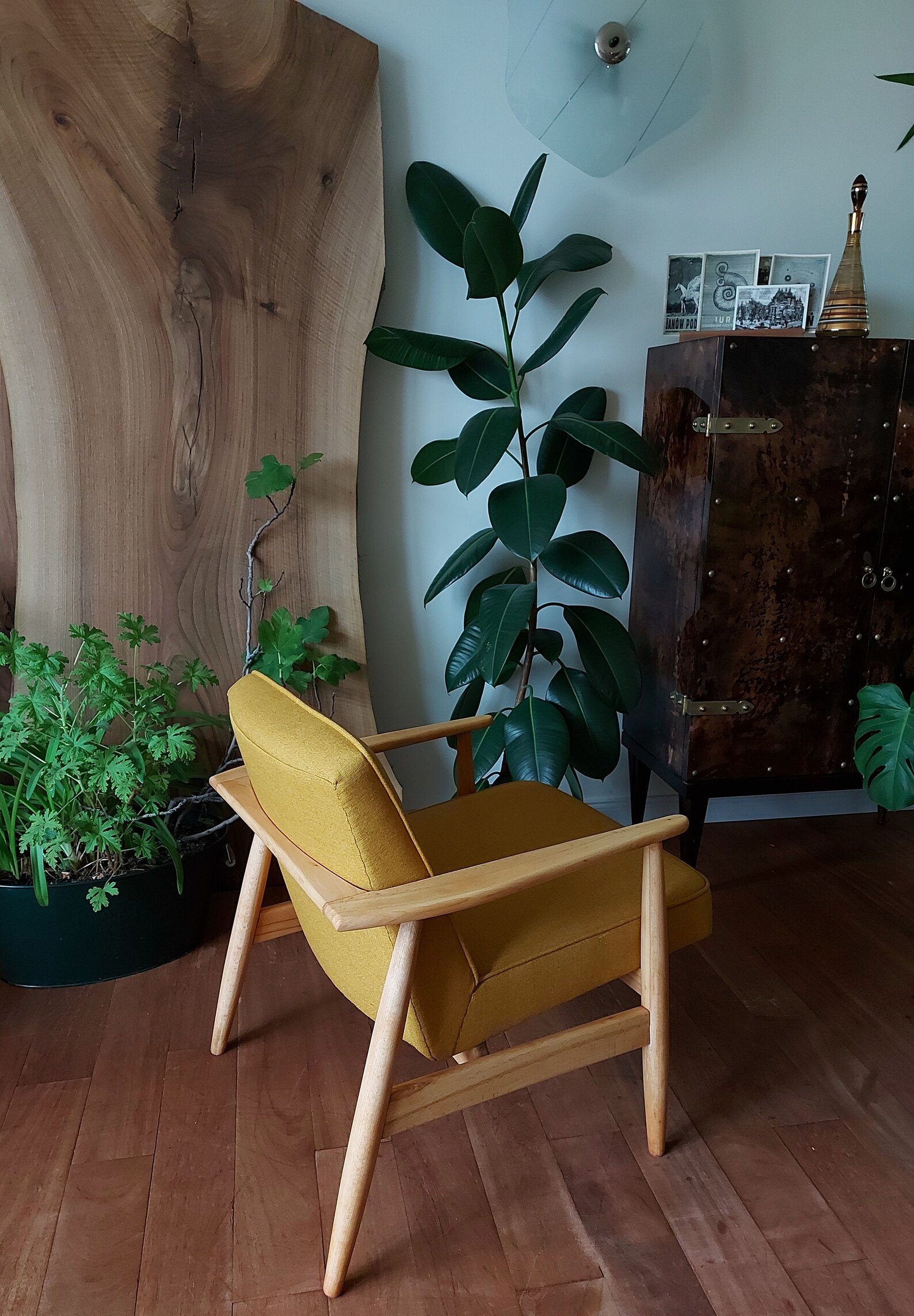 Yellow Mustard Chair Mid Century Classic Solid Wood Single - Etsy