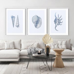 Sea Shell Coastal Poster. Hamptons Nautical Art Print. Scotch Bonnet ...
