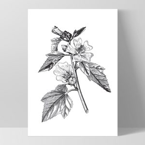 Botanical Floral Print II. Vintage Botanical Wall Art Illustration ...