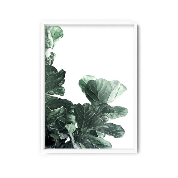 Fiddle Leaf Fig III Art Print. Fig Tree Watercolour Style. | Etsy