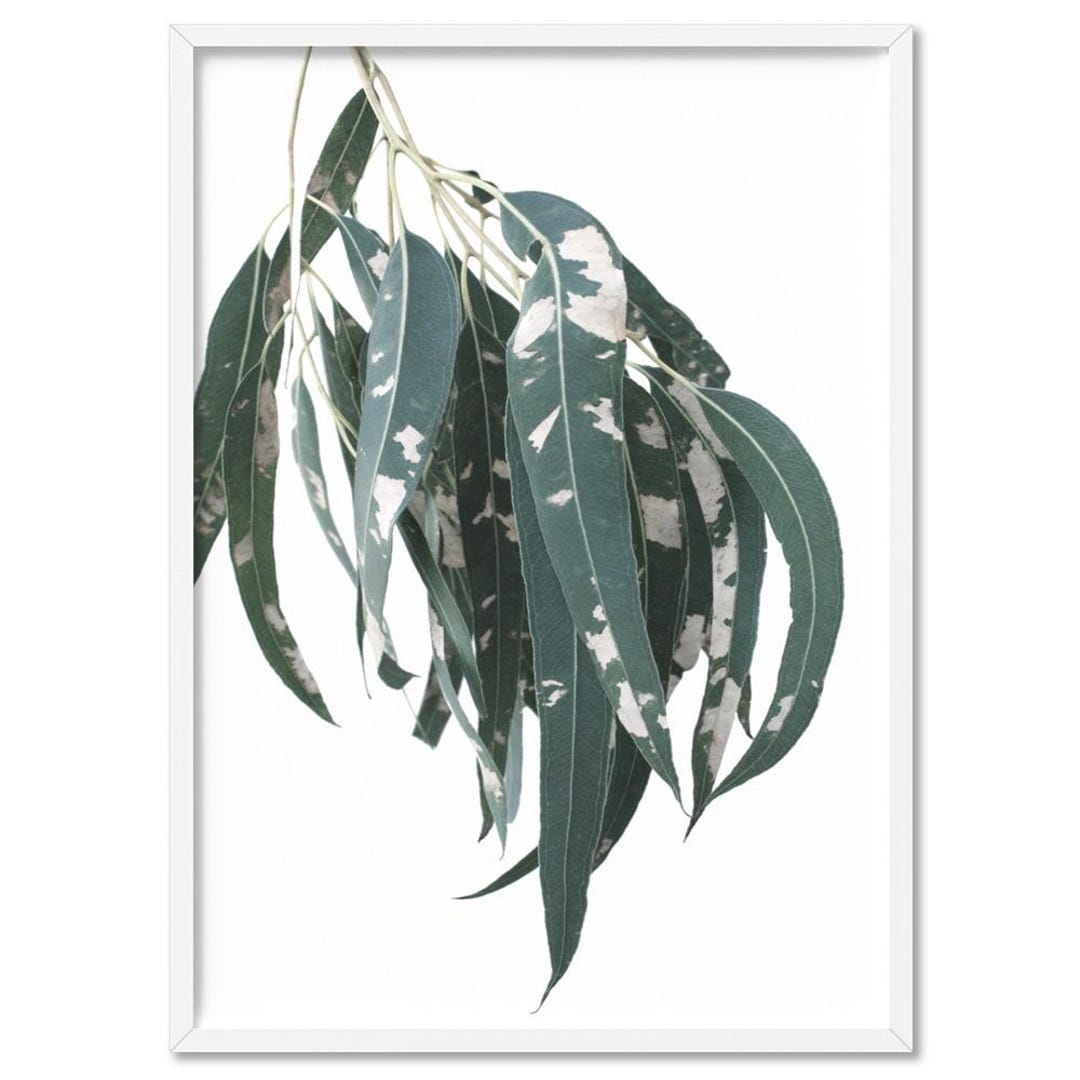 Australian Eucalyptus Gum Leaves Wall Art. Poster or Canvas. Native ...
