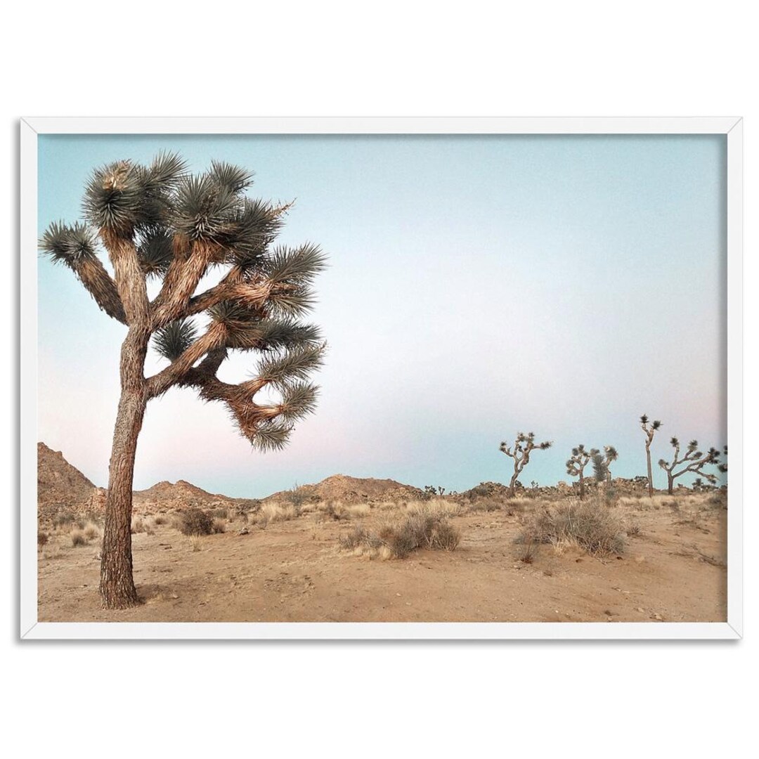 Desert Landscape Art Print. Joshua Trees Photography Scene. South ...