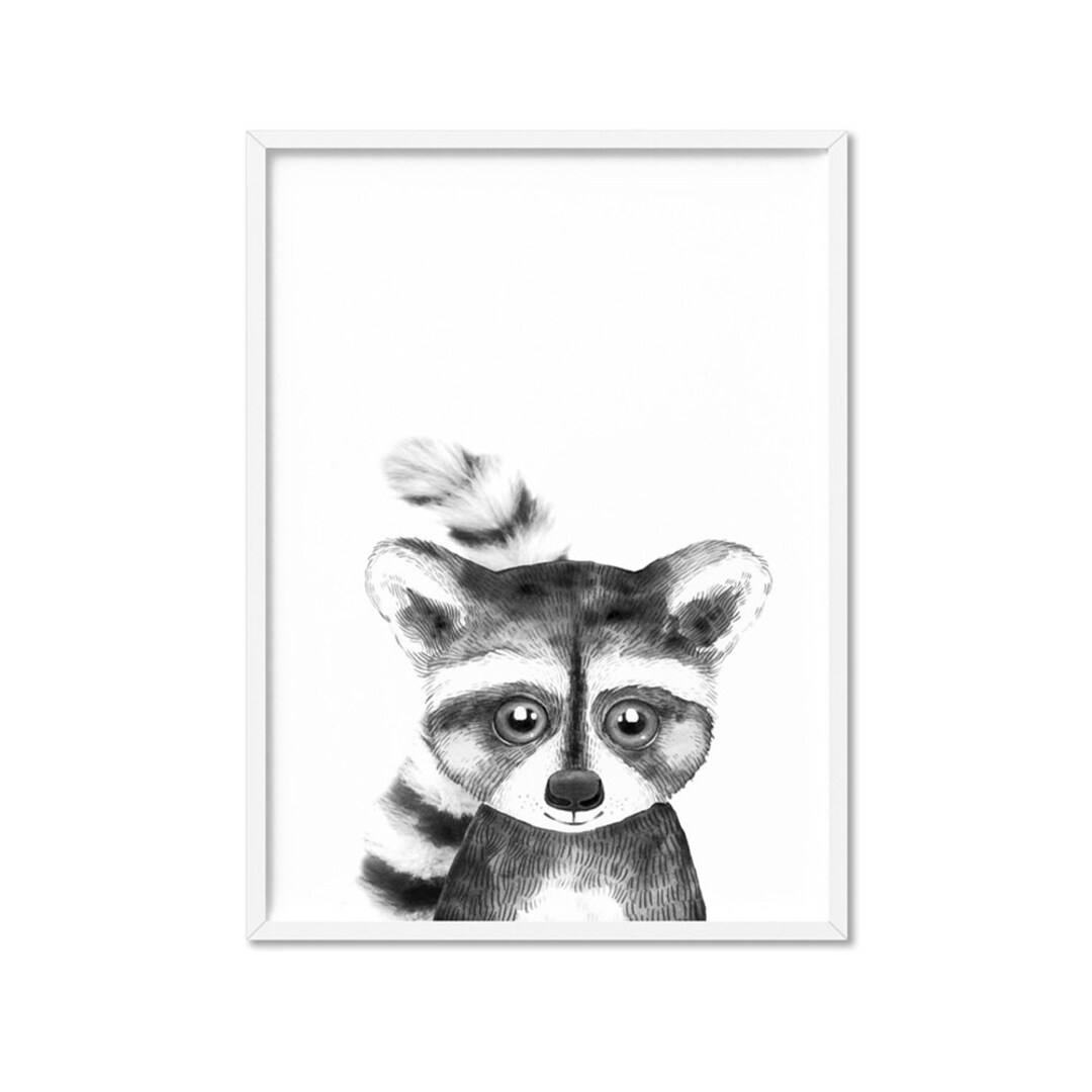 Cheeky Raccoon Peek a Boo Print. Kids Wall Art Canvas or - Etsy
