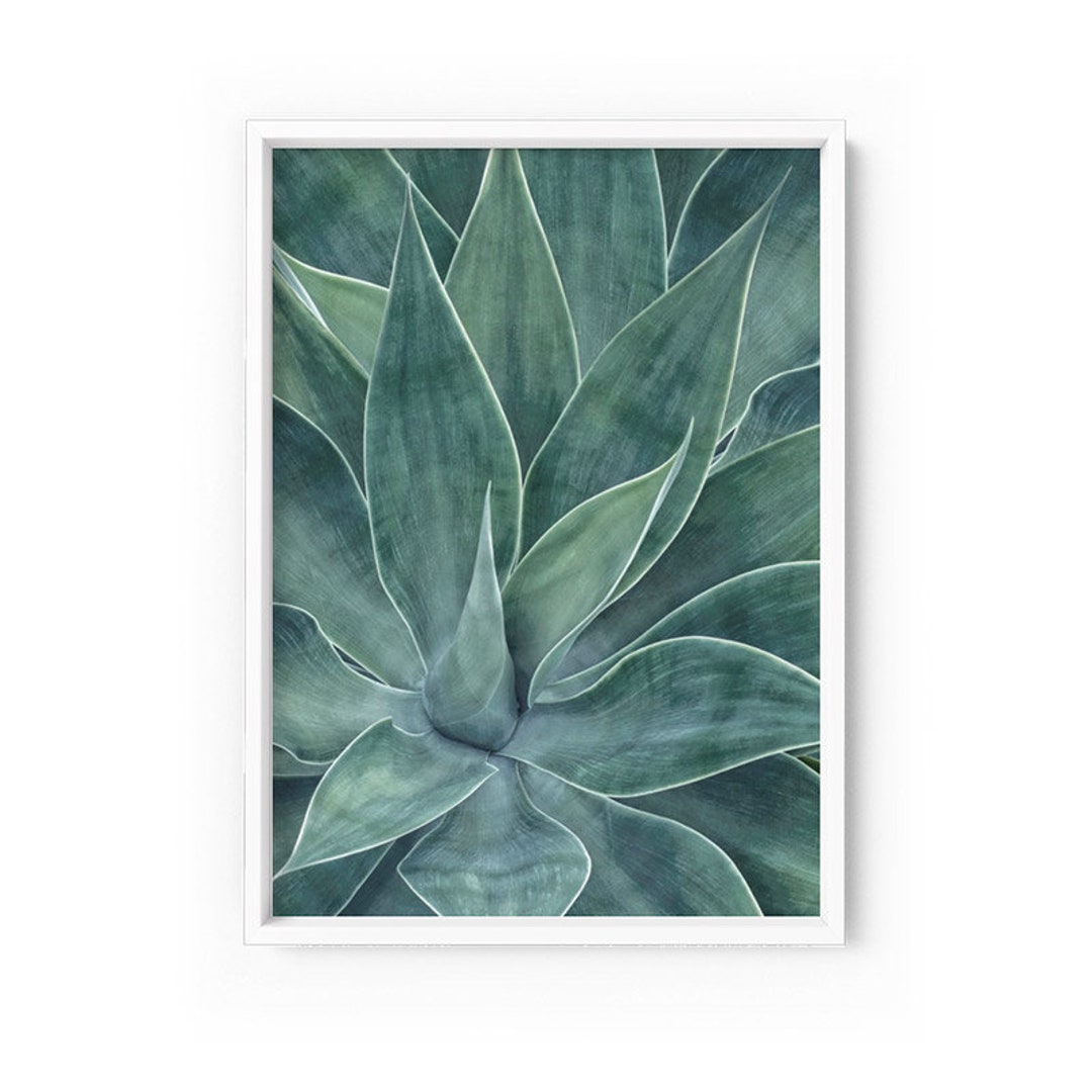 Succulent Print Poster. Agave Art Print. Green Home Decor Wall - Etsy
