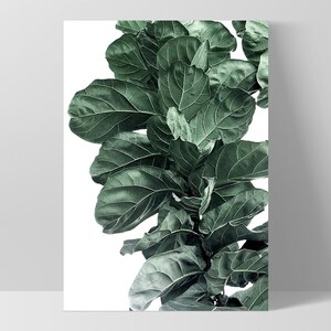 Fiddle Leaf Fig I Art Print. Fig Tree Watercolour Style. Botanical ...