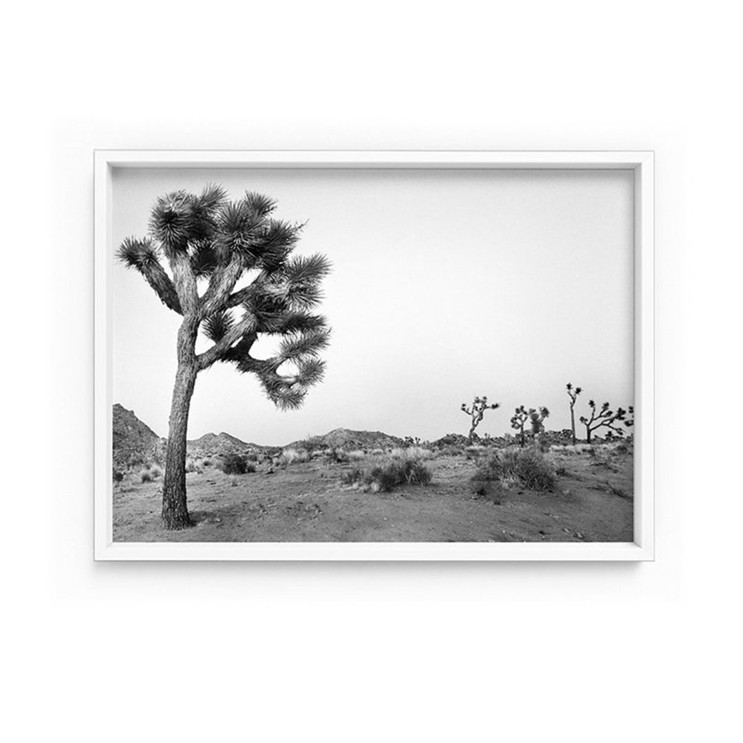 Joshua Tree Wall Art Print. Desert Landscape Photography in - Etsy